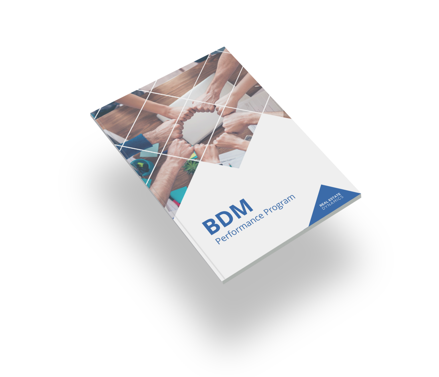 BDM Performance Program - Real Estate Dynamics